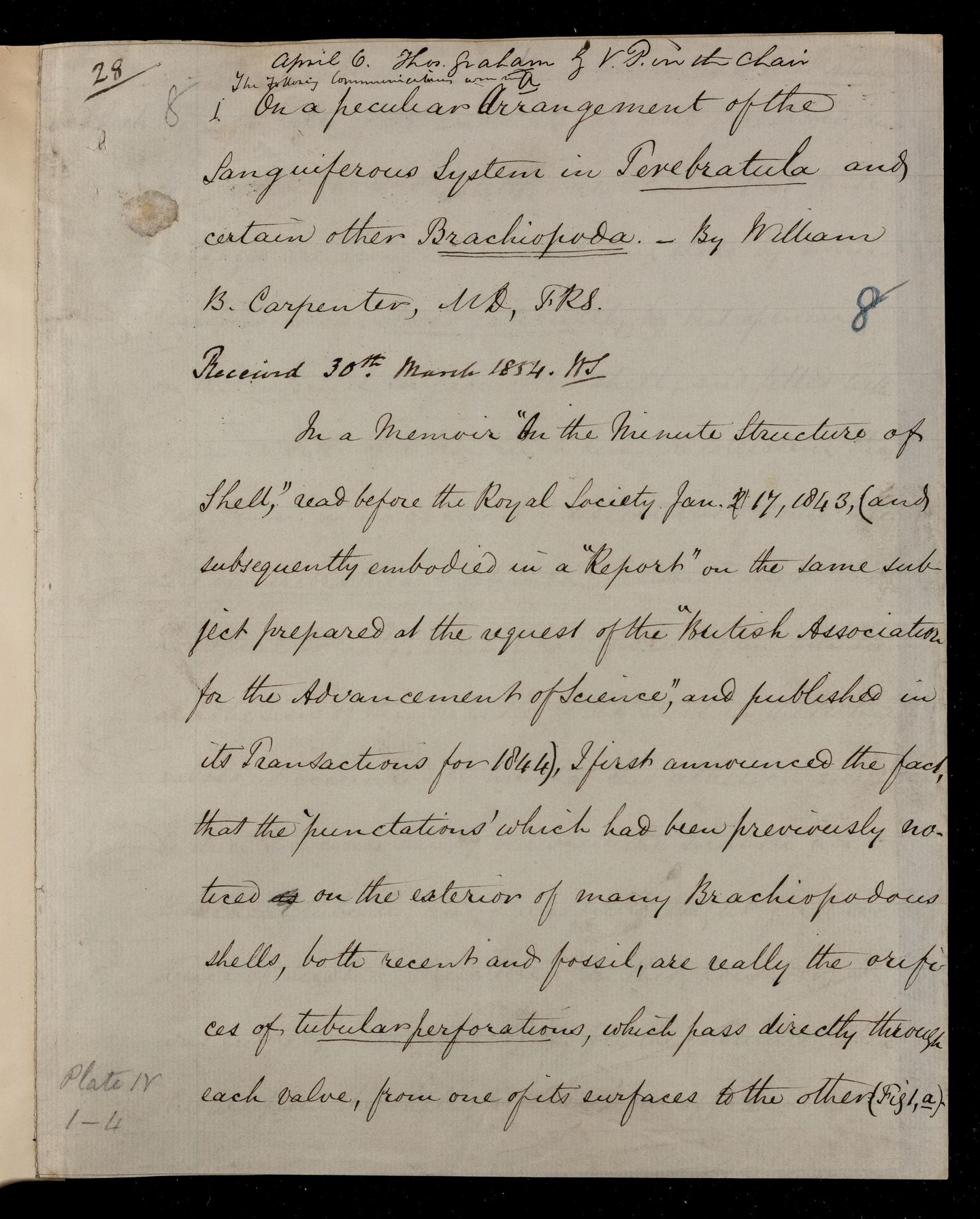 Paper, 'On a peculiar arrangement of the sanguiferous system in ...