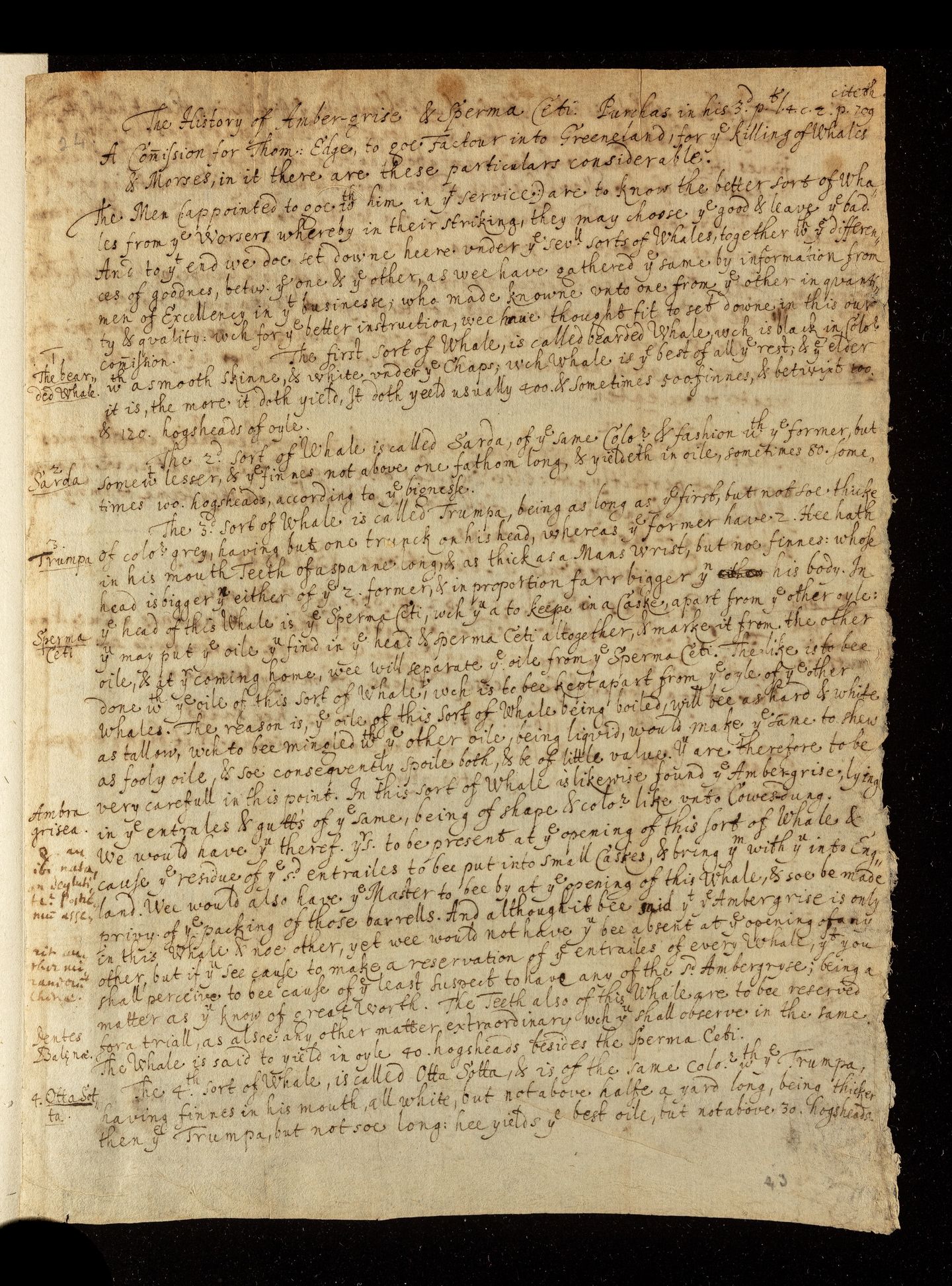 Paper, 'The history of amber-grise and sperma ceti' by Thomas Edge ...