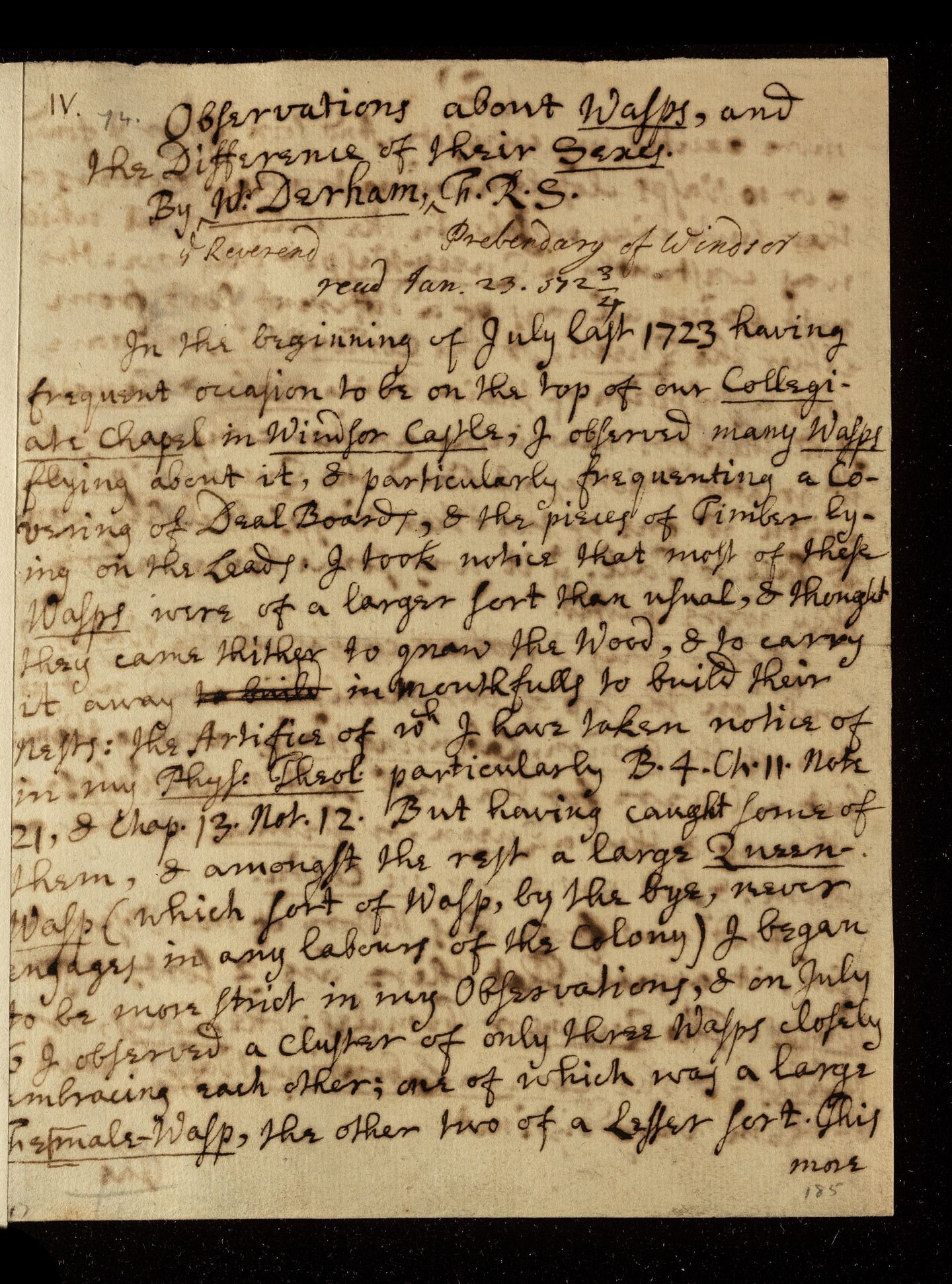 Paper, 'Observation about wasps, and the difference of their sexes' by ...