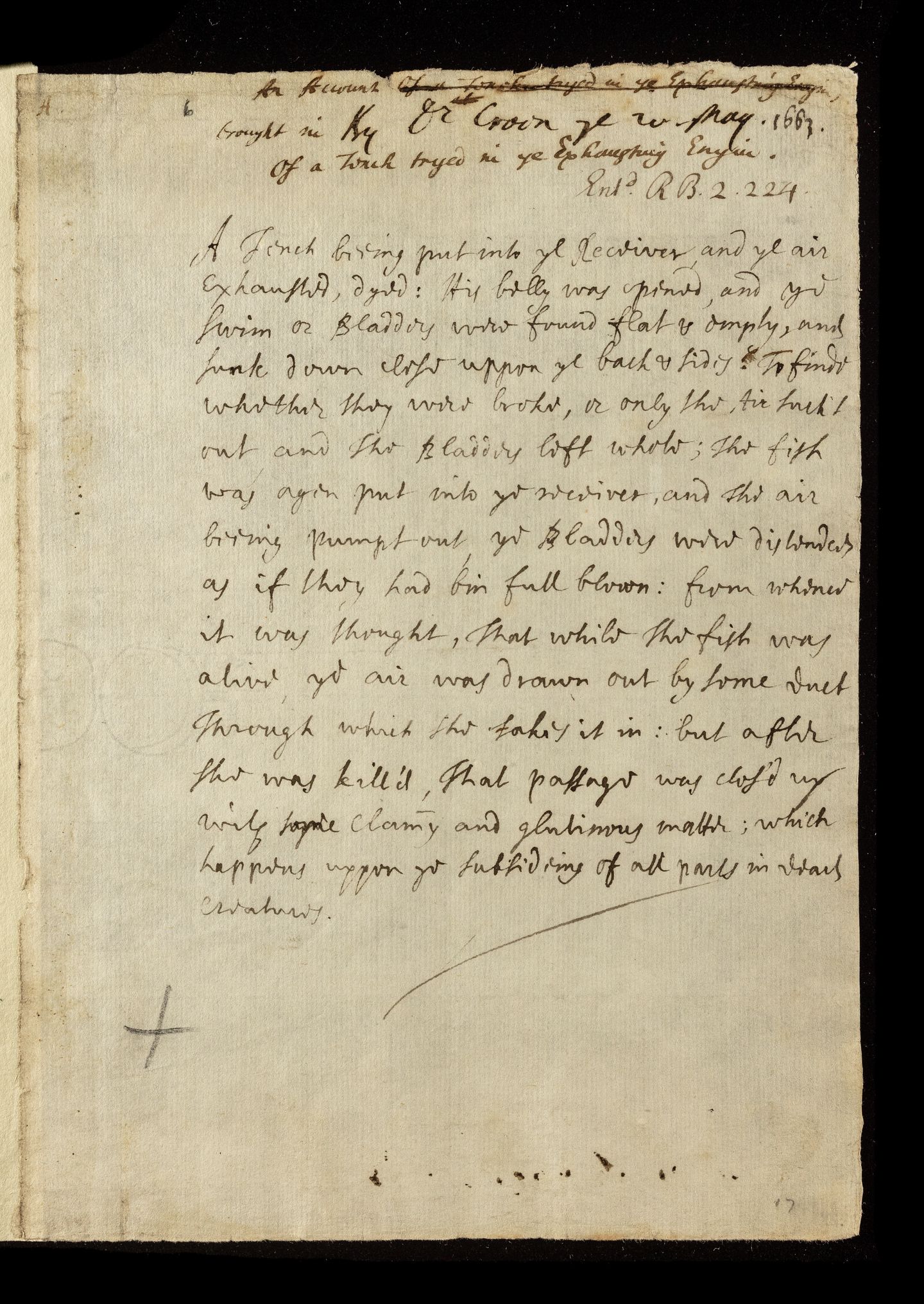 Paper, 'An account of a tench tryed in the exhausting engine' by Dr ...