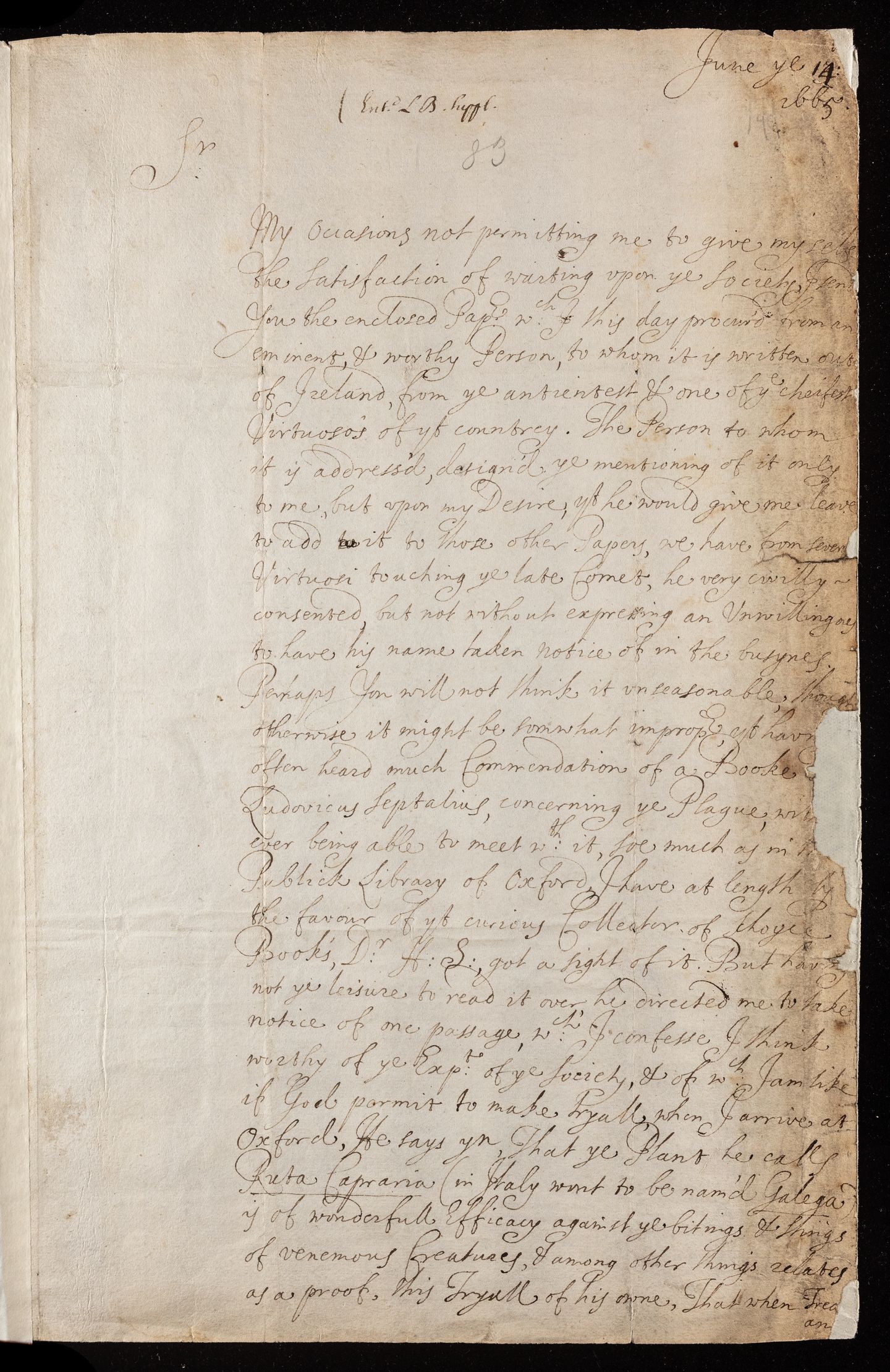 Letter, from Robert Boyle to Henry Oldenburg | The Royal Society ...