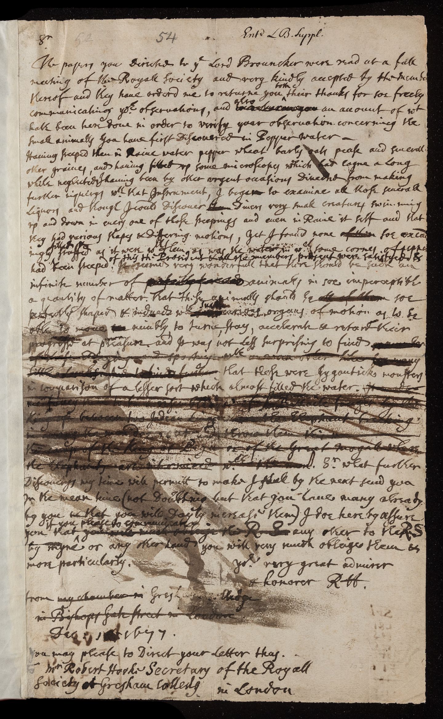 Letter, from Robert Hooke to Antoni van Leeuwenhoek | The Royal Society ...
