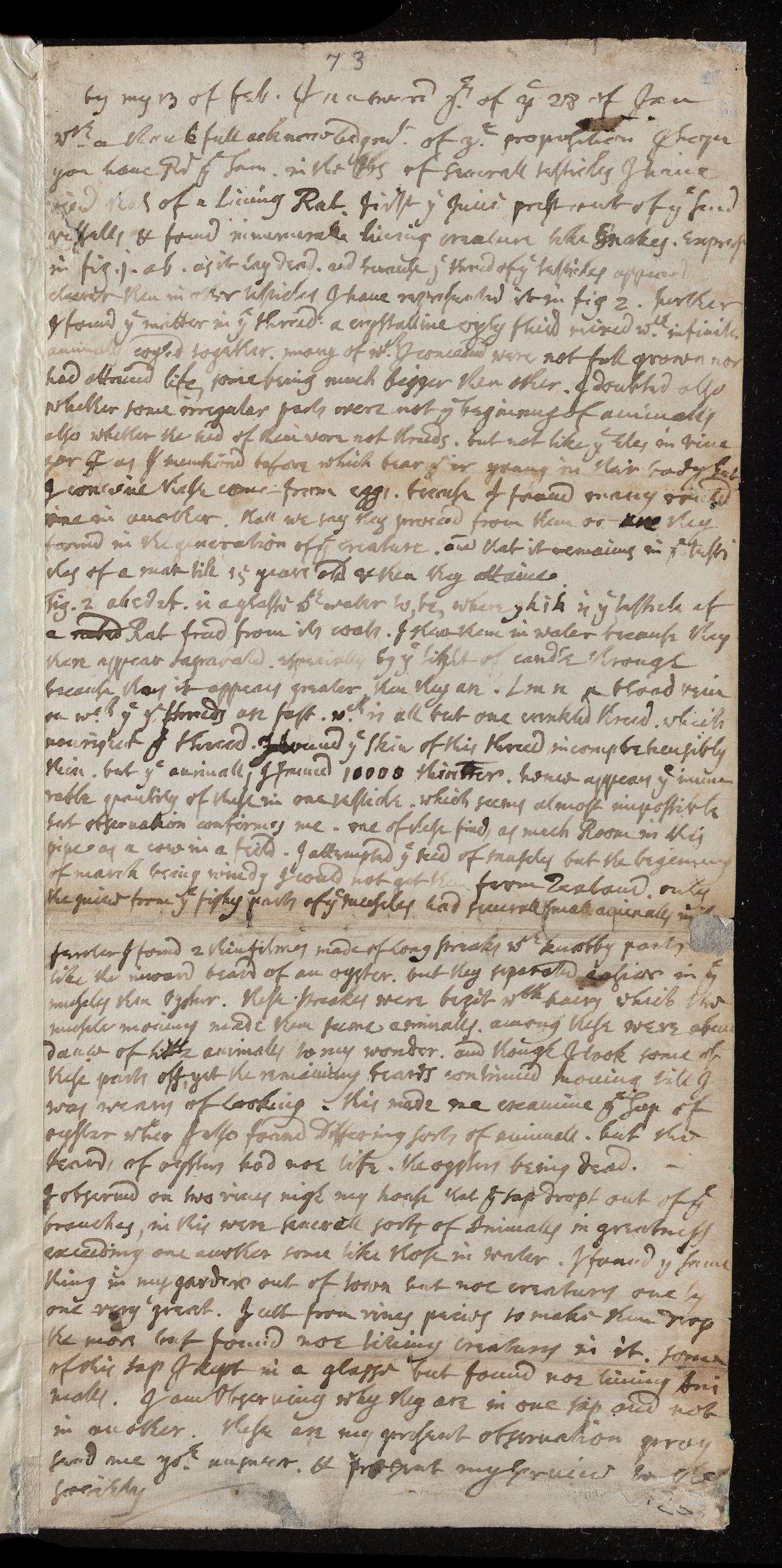 Translation of a letter, from Antoni van Leeuwenhoek [to the Royal ...