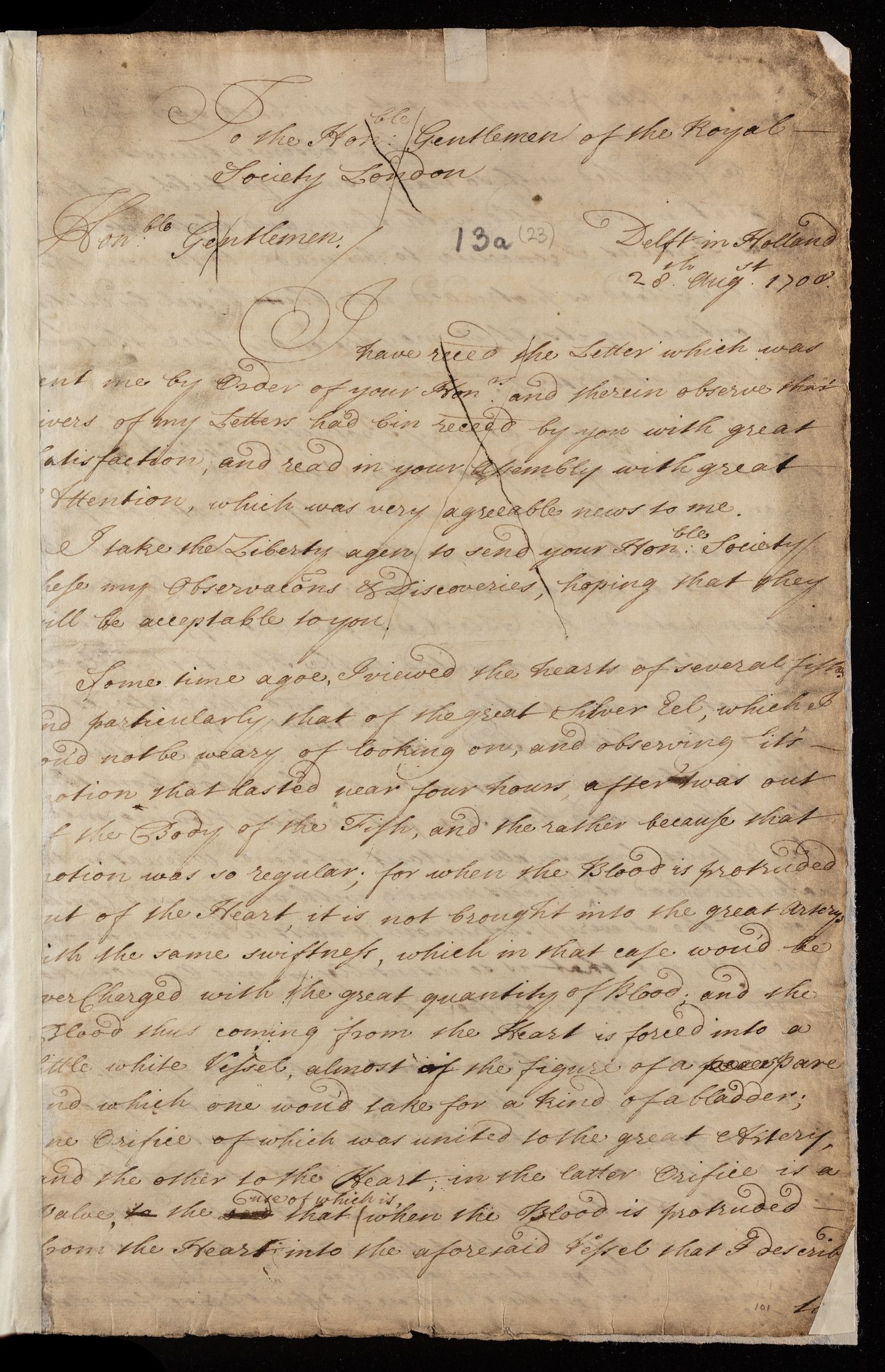 Translation of a letter, from Antoni van Leeuwenhoek to the Royal ...