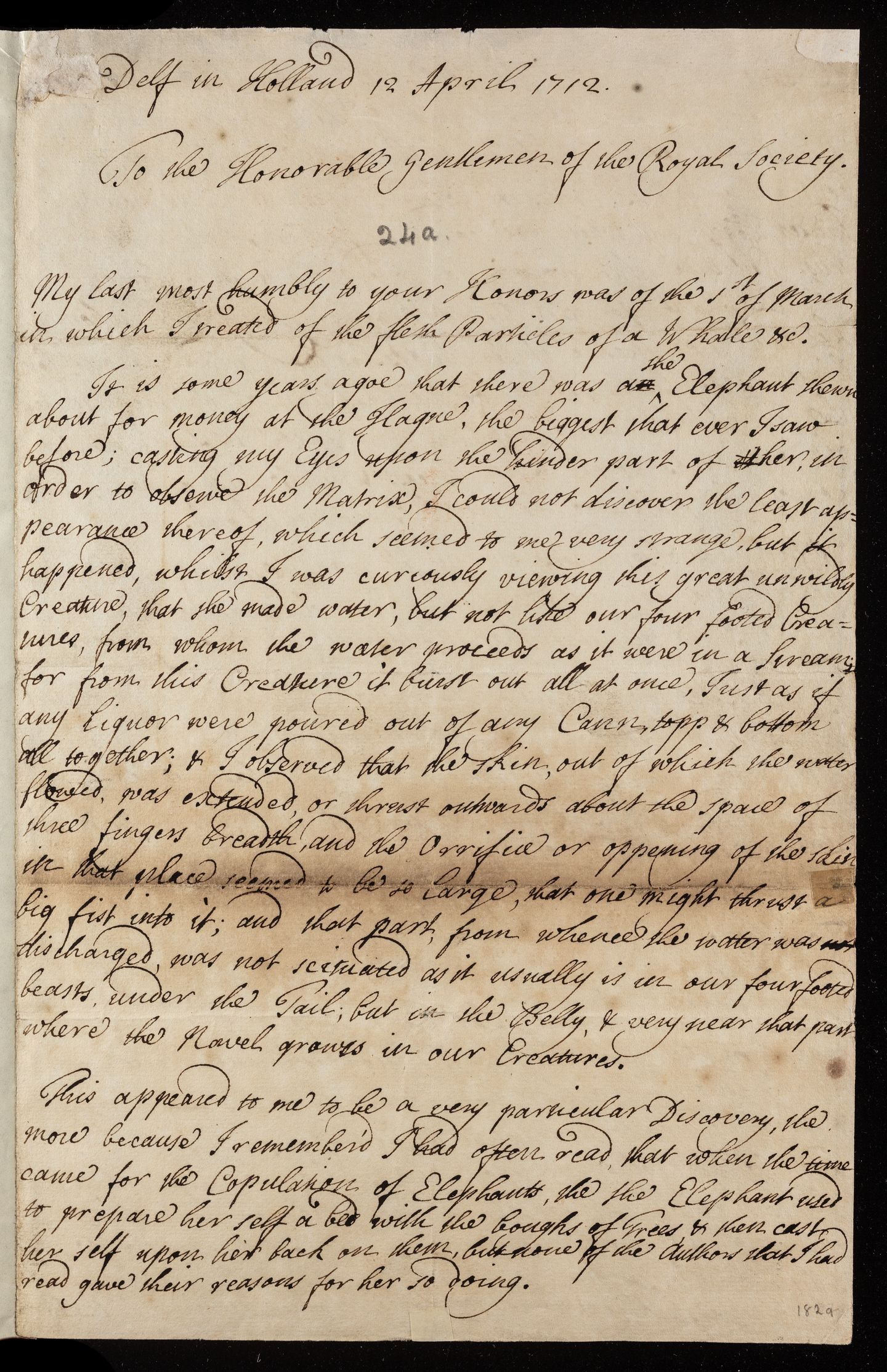 Translation of a letter, from Antoni van Leeuwenhoek to the Royal ...
