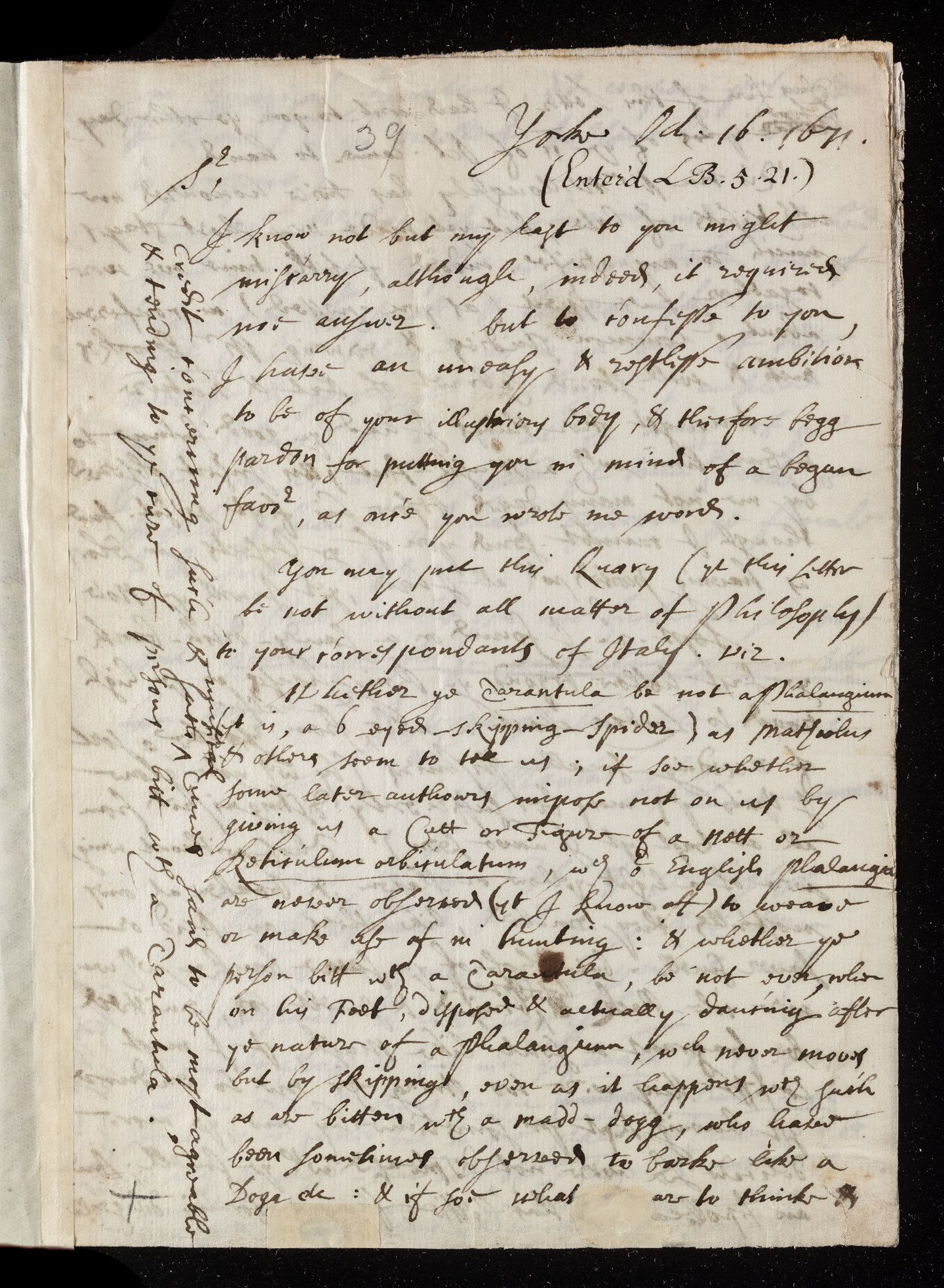 Letter, from Martin Lister to Henry Oldenburg, dated at York | The ...