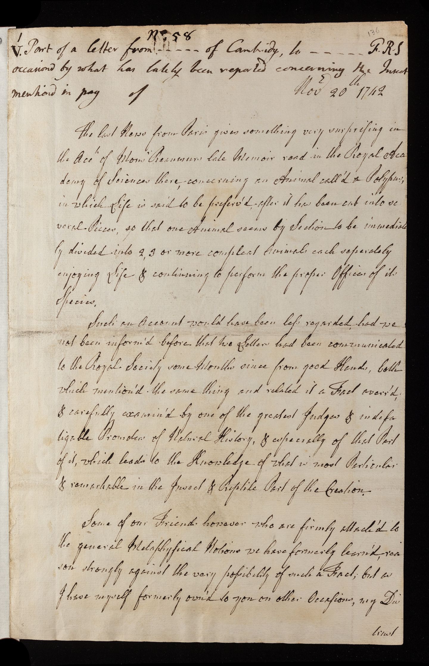 Letter, 'Of an animal called a plypus (hydra)' by unknown author from ...