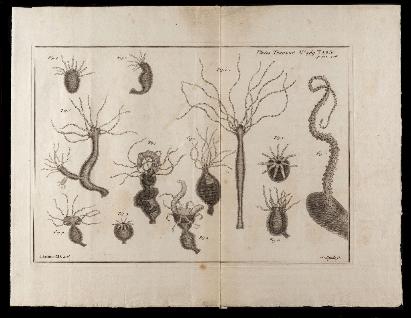 Paper, 'Account extracted from Edinburgh Town Council books of a ...