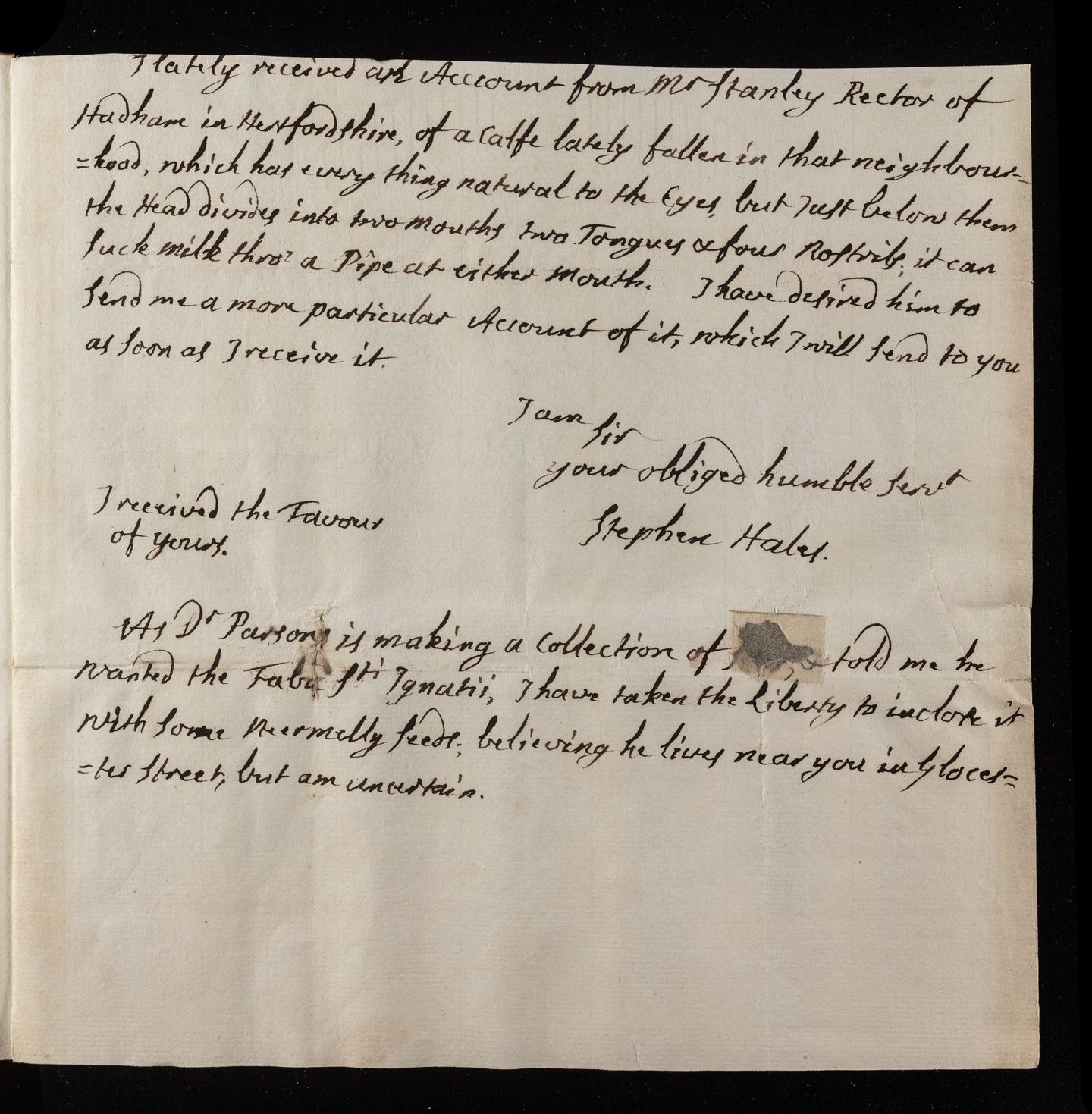 Letter, 'Of a monstrous calf & of seeds of St Igantius's bean' from ...