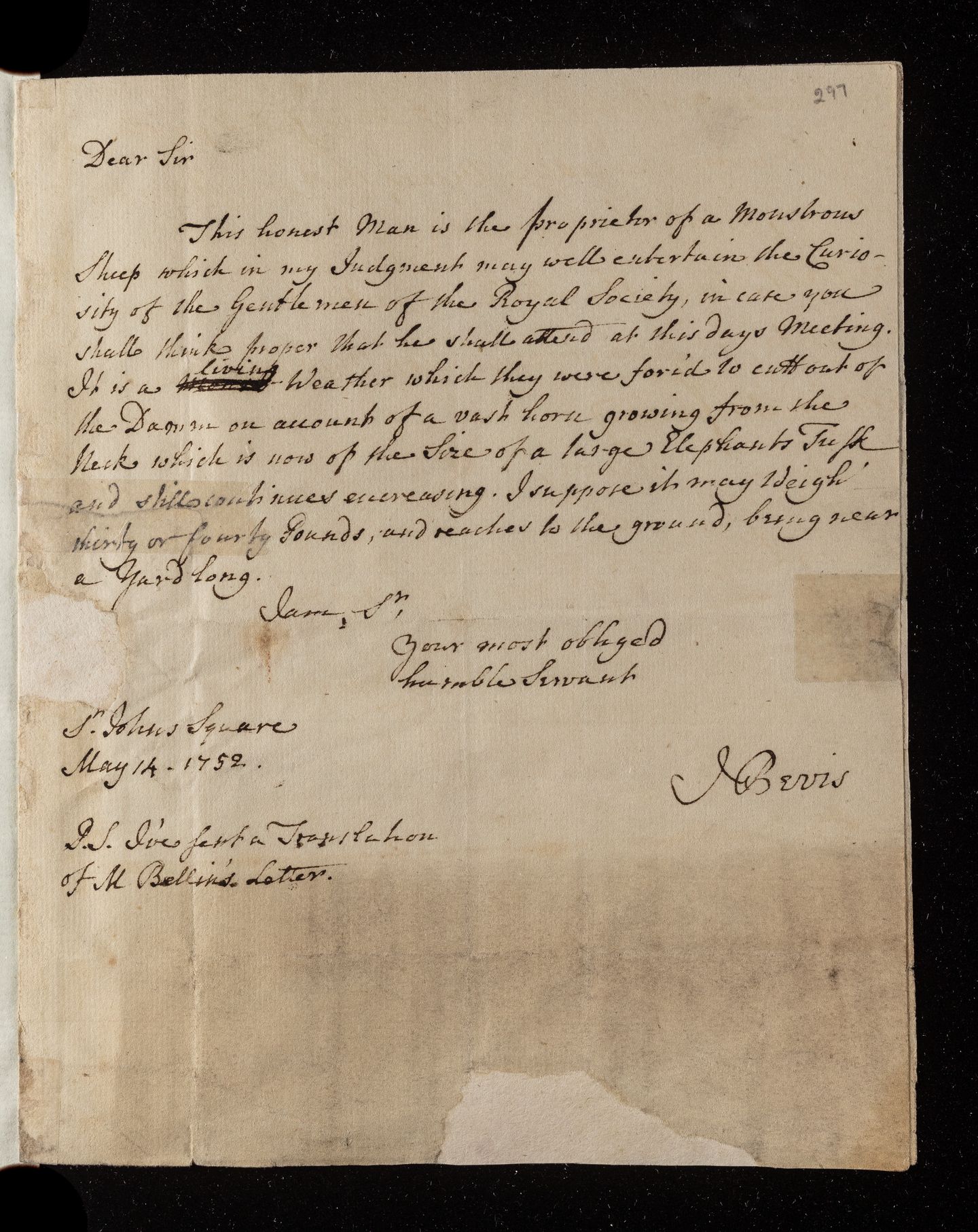 Letter, 'Of a monstrous sheep with a horn near a yard long' from John ...