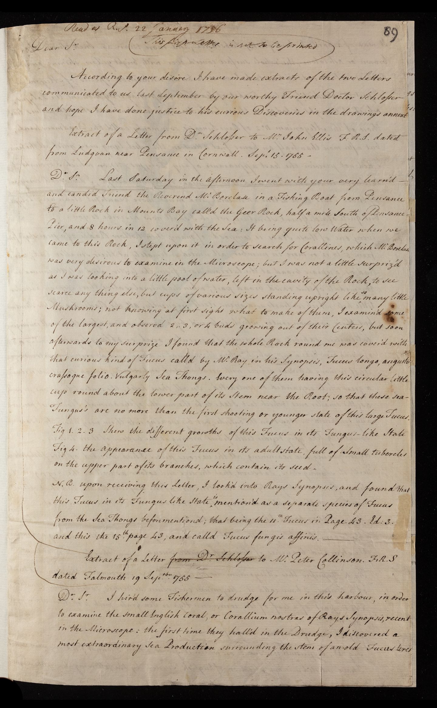 Paper, 'Of a curious fleshy coral-like substance' by Johann Albert ...