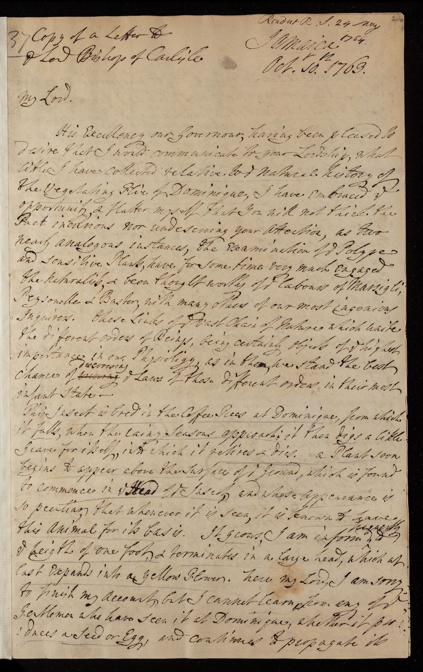 Letter, 'Of the vegetating flie of Dominique' from John Martin Butt to ...