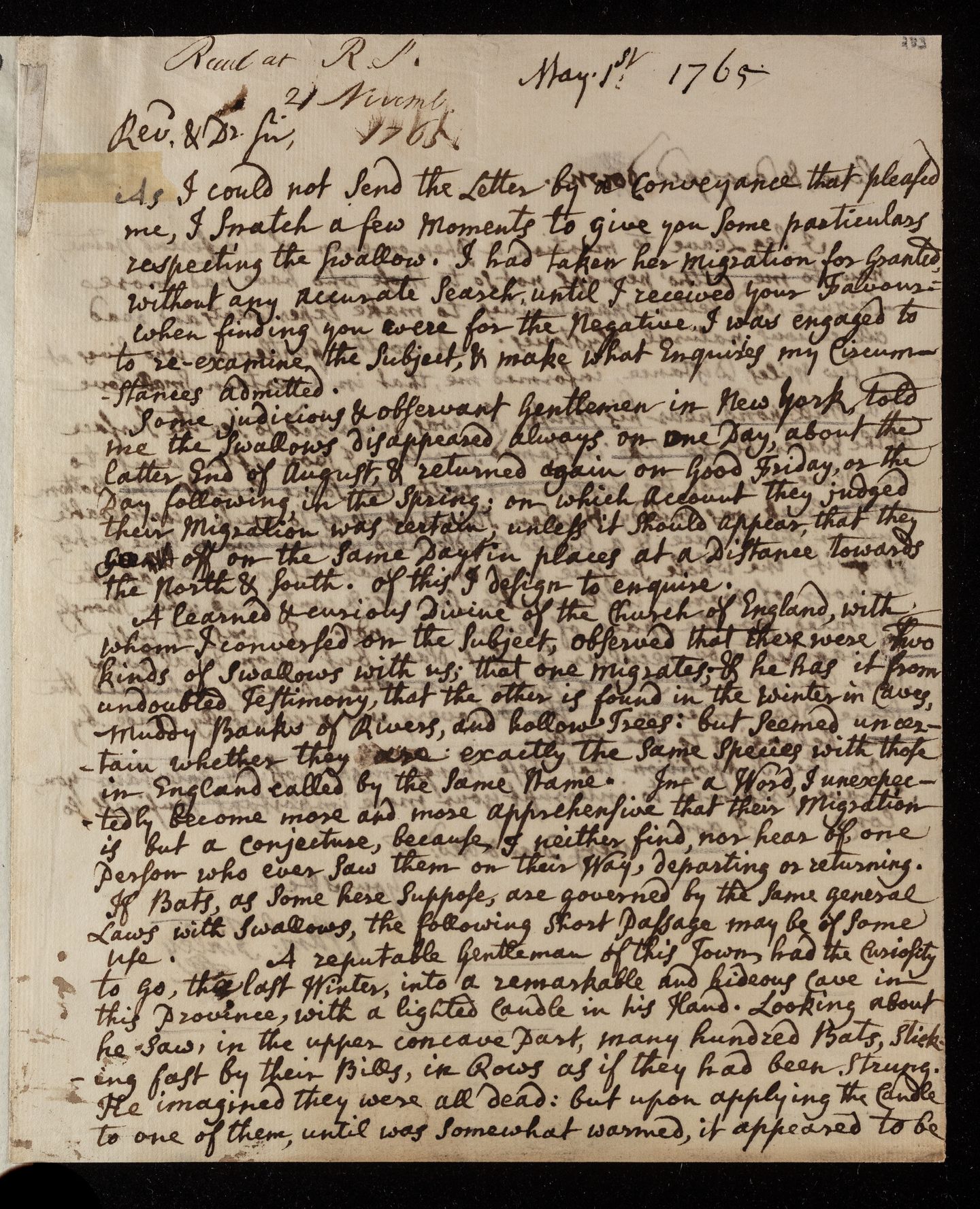 Letter, 'Of the migration of swallows' from Samuel Finlay | The Royal ...