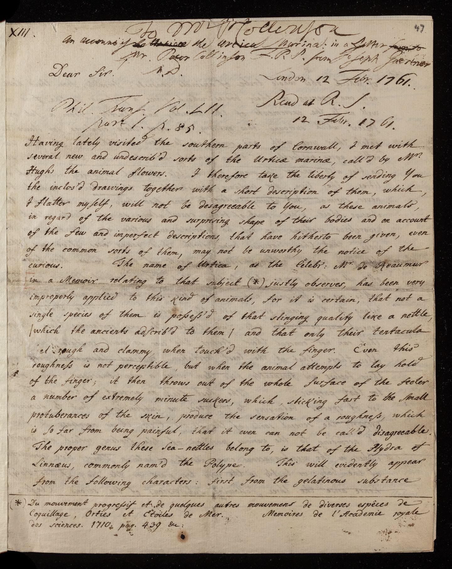 Paper, 'Of urticamarina (marine polyps)' by Joseph Gaertner | The Royal ...