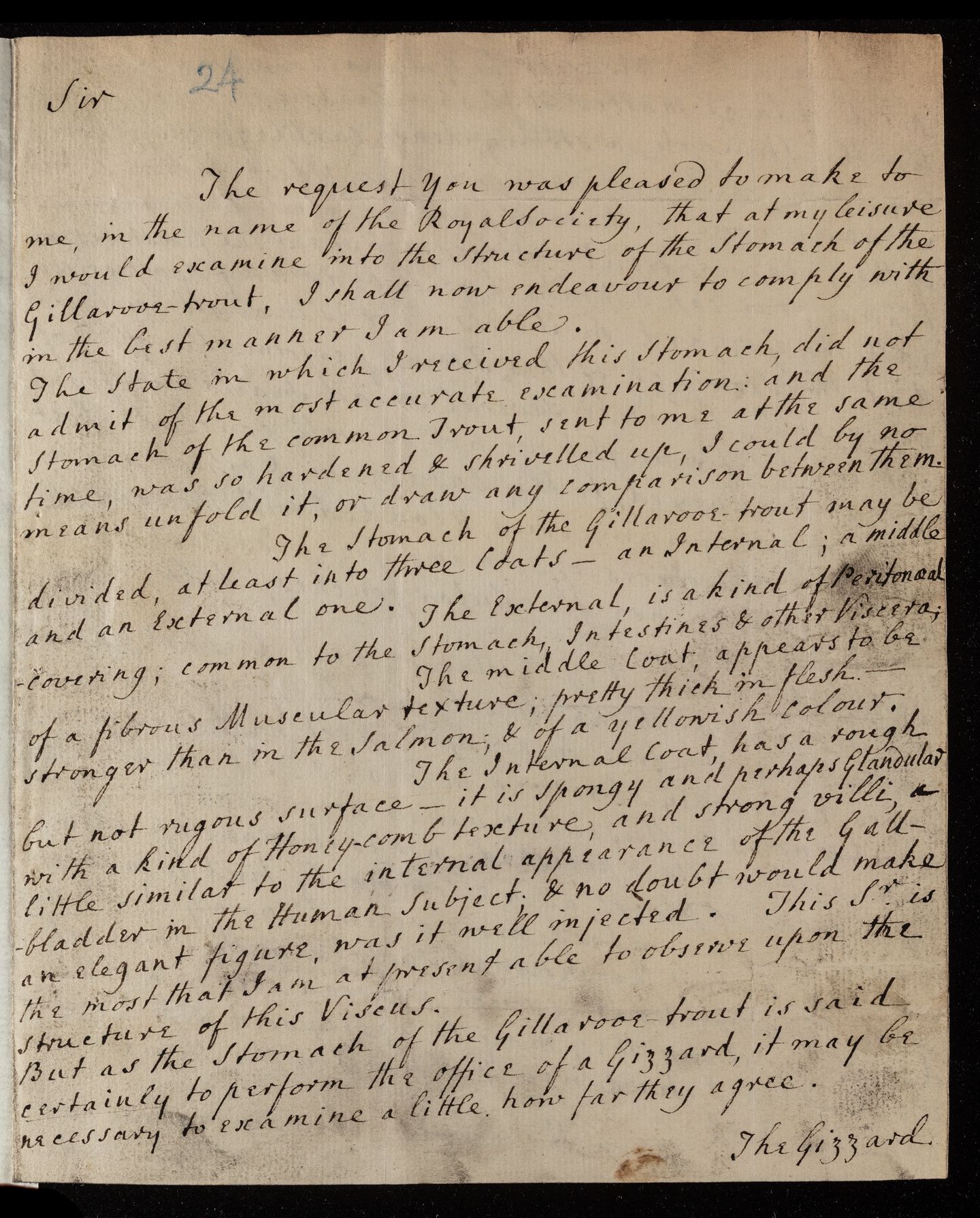 Letter, 'Of the Gillaroo trout' from Henry Watson to John Pringle | The ...