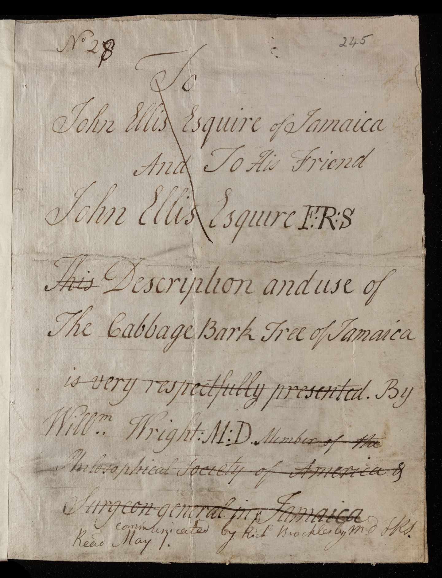 Letter, 'Jesuit's bark tree; Cabbage bark tree' from William Wright to ...