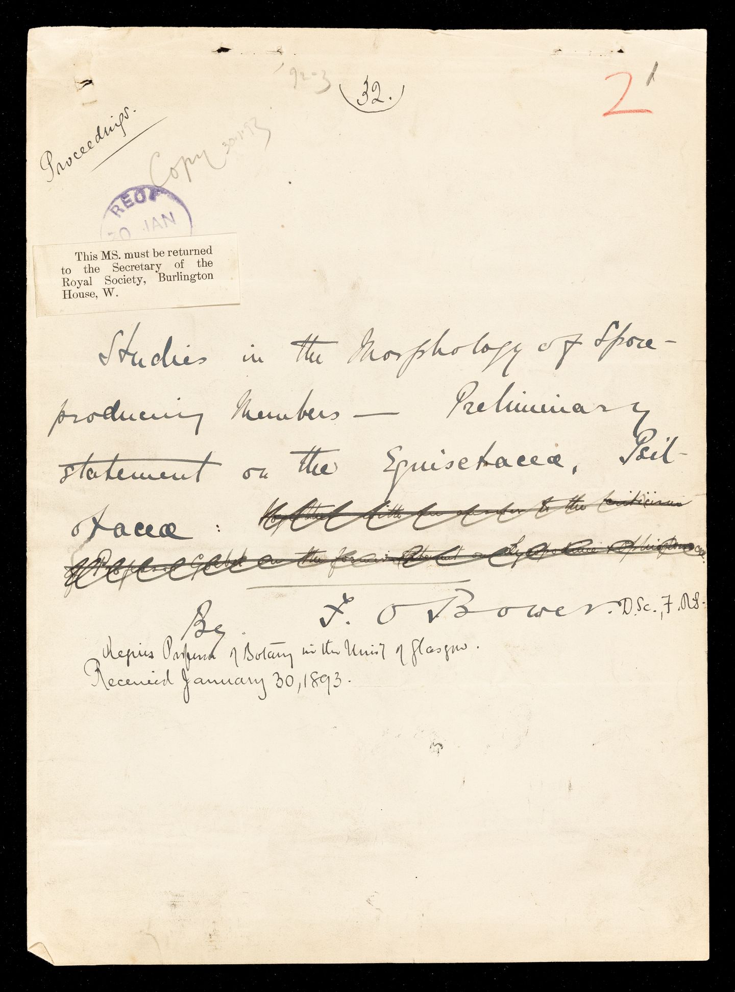 Paper, 'Studies in the morphology of spore-producing members ...