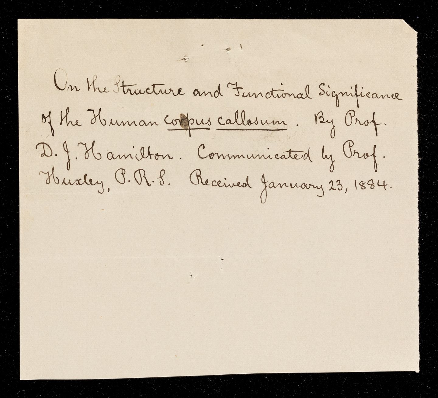 Paper, 'On the structure and functional significance of the human ...