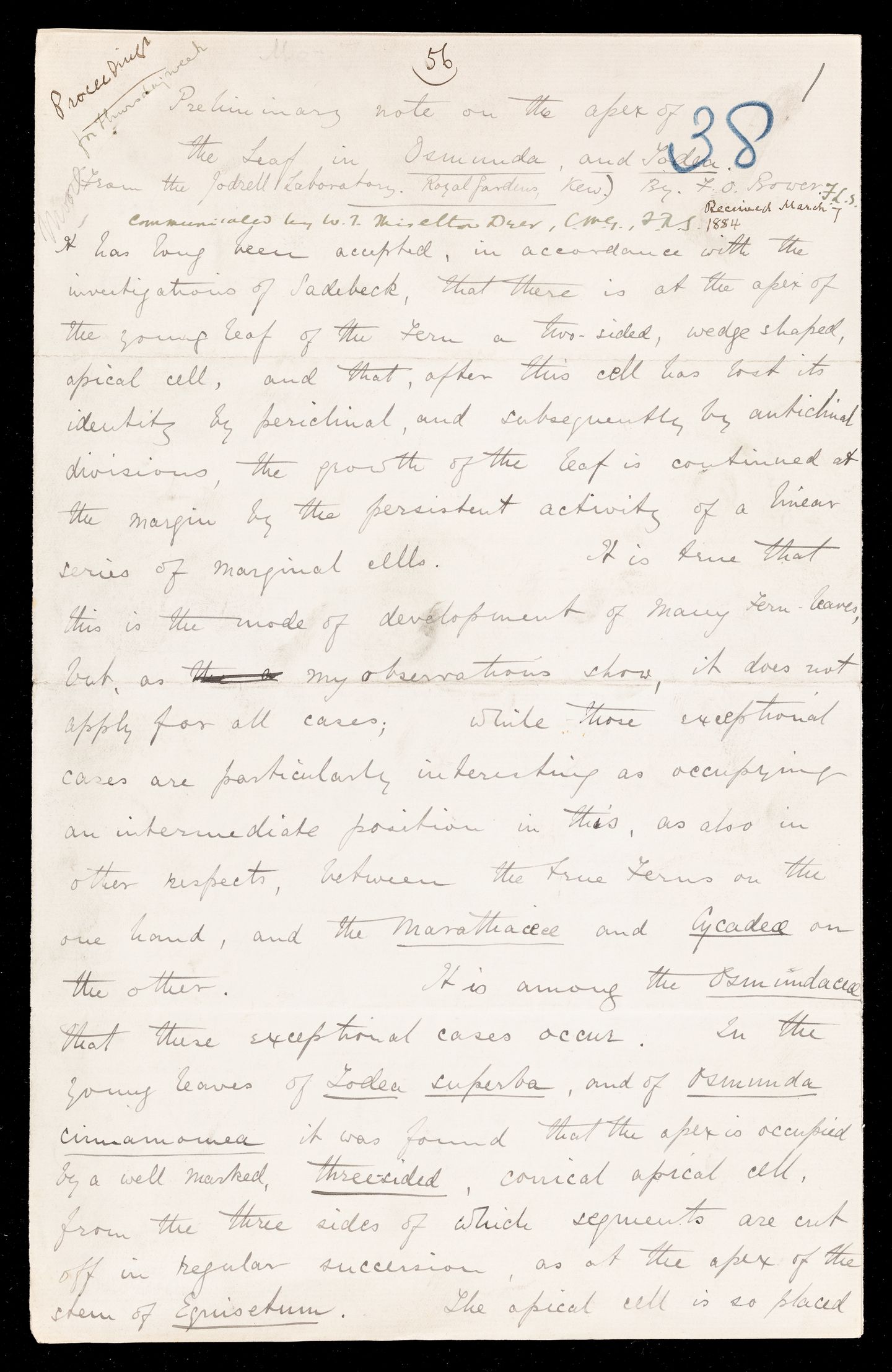 Paper, 'Preliminary note on the apex of the leaf in Osmunda and Todea ...