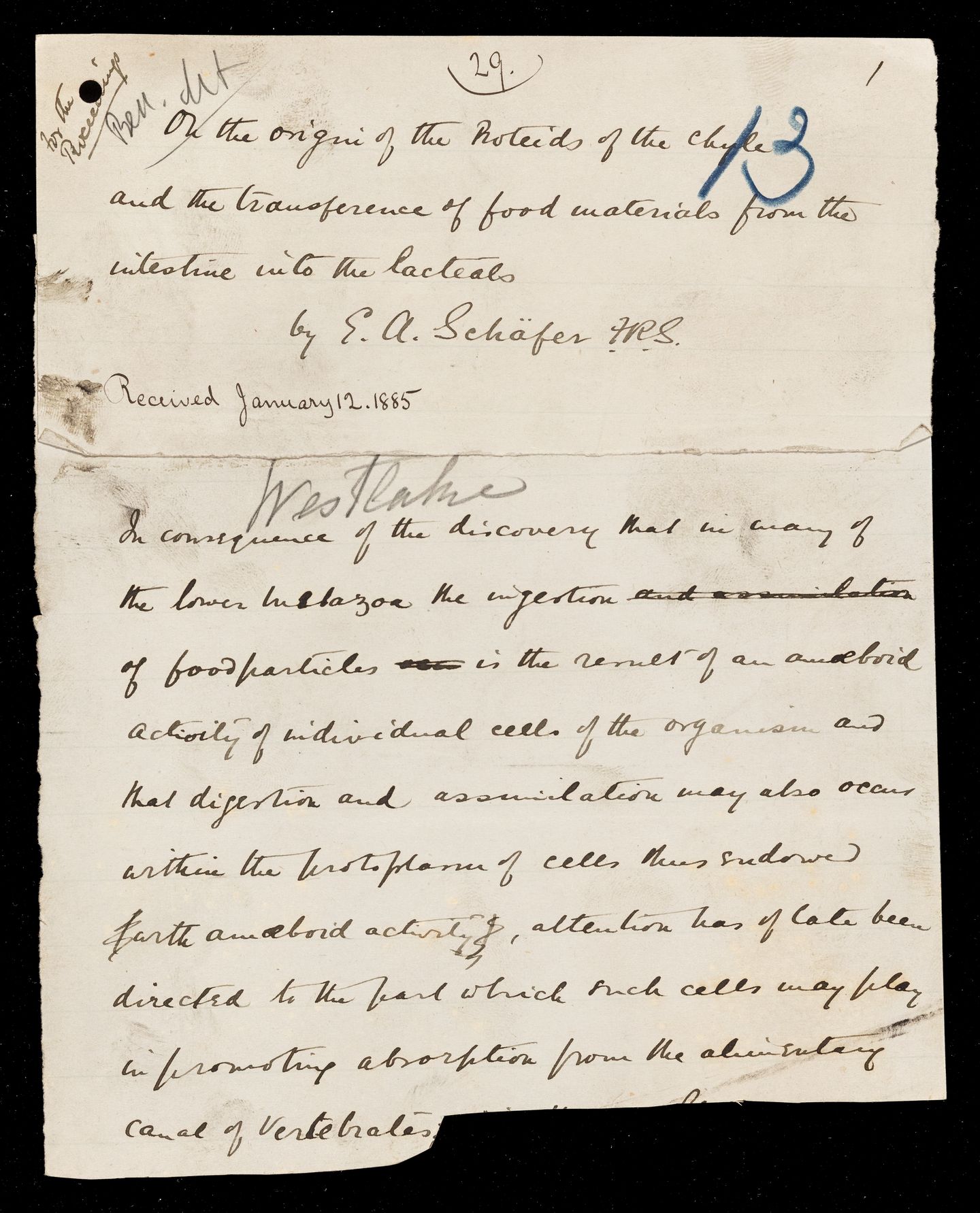 Paper, 'On the origin of the proteids of the chyle and the transference ...