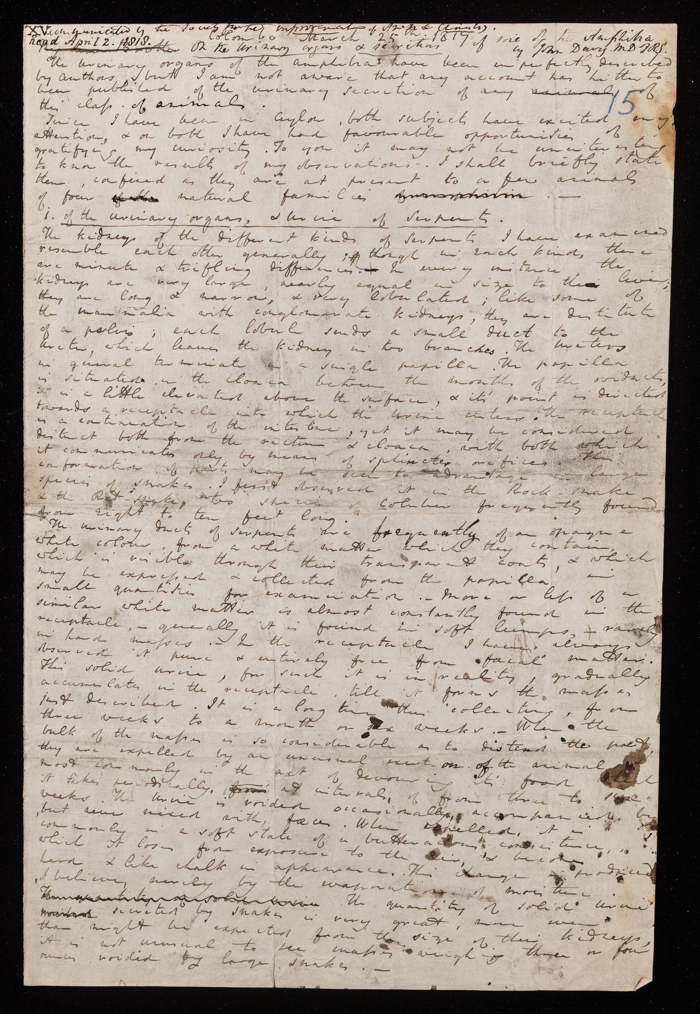 Paper, 'On the urinary organs and secretion of some of the amphibia' by ...