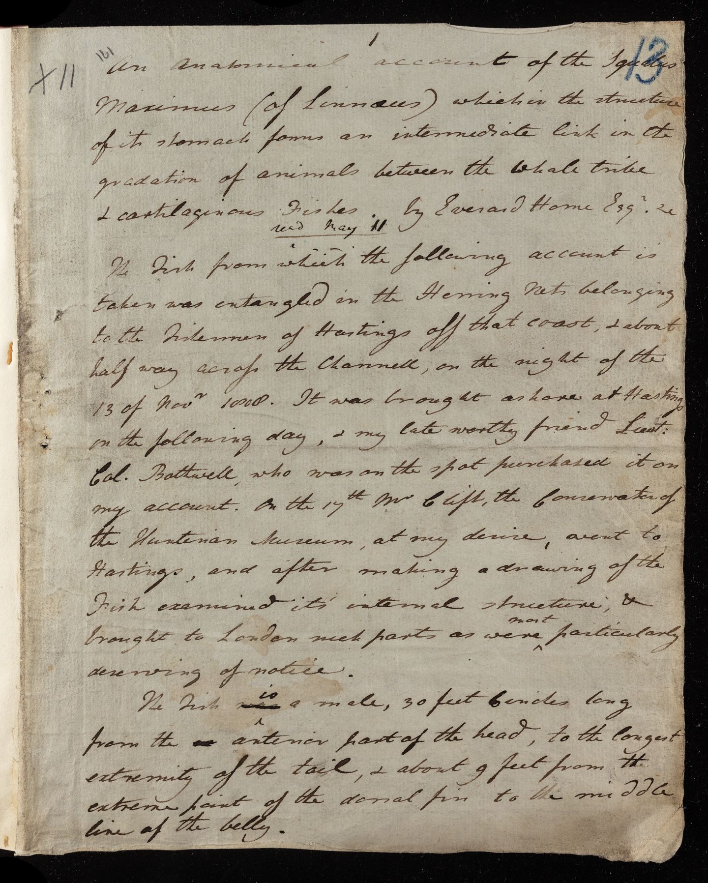 Paper, 'An anatomical account of the squalus maximus (of linnaeus ...