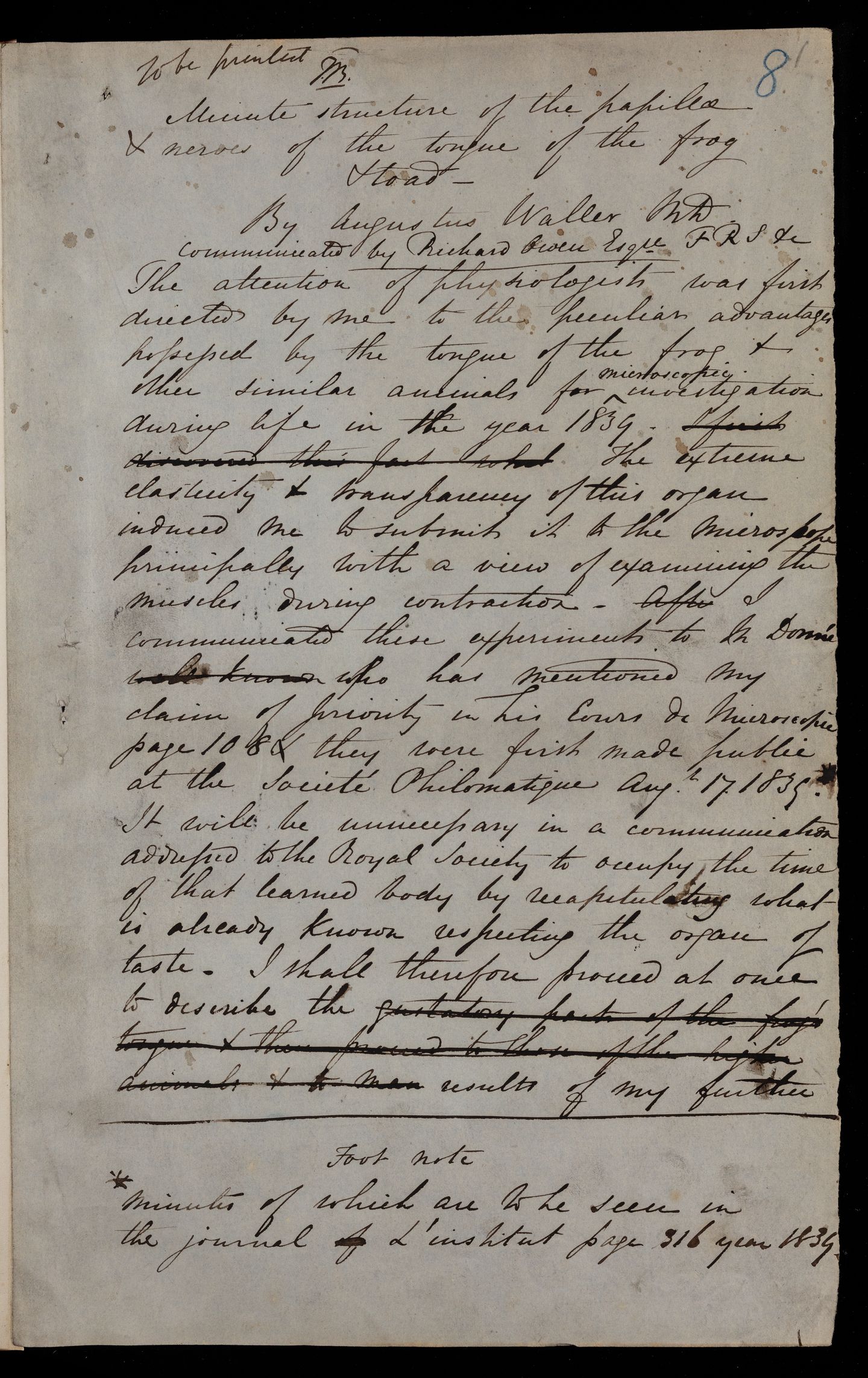 Paper, 'Minute structure of the papillœ and nerves of the tongue of the ...