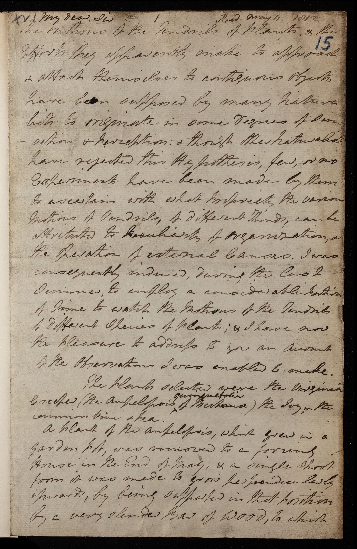 Letter, ['On the motions of tendrils of plants'] from Thomas Andrew ...