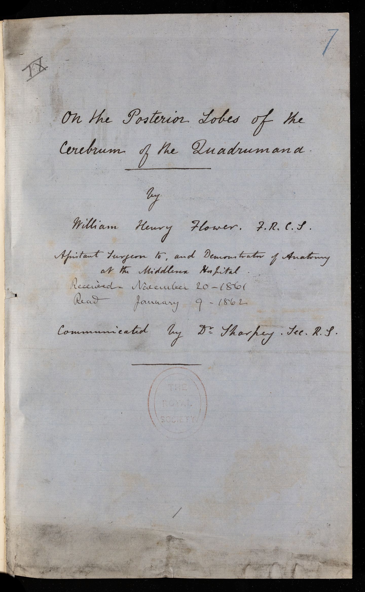 Paper, 'On the posterior lobes of the cerebrum of the quadrumana' by ...
