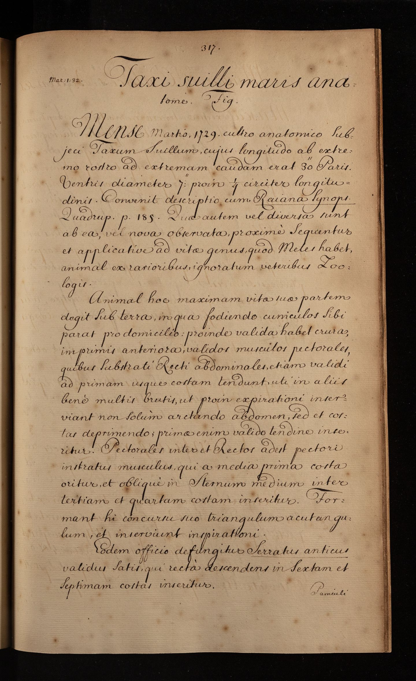 Anatomy of a male badger by John James Scheuchzer | The Royal Society ...