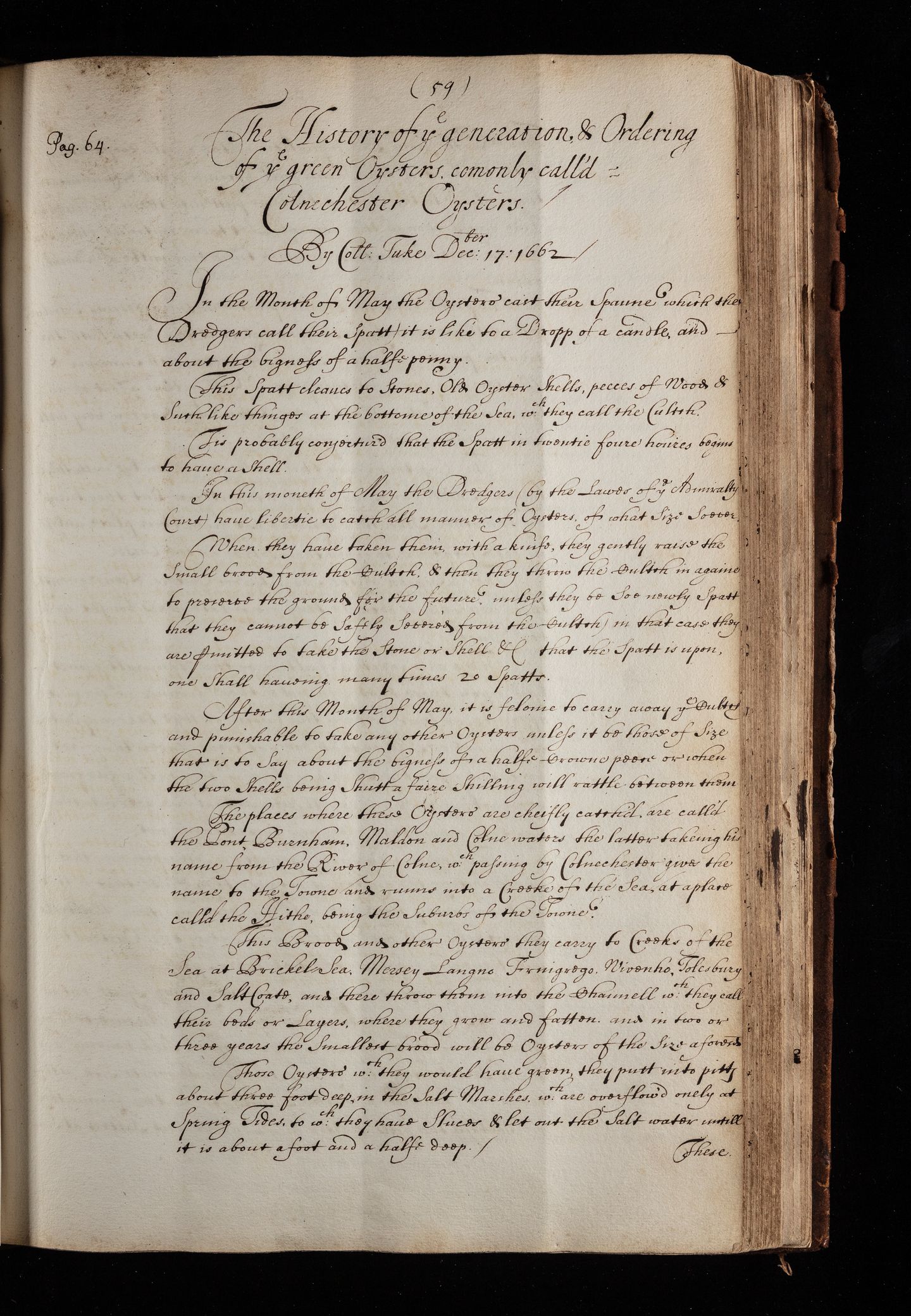 'The History of the generation and Ordering of the green Oysters ...