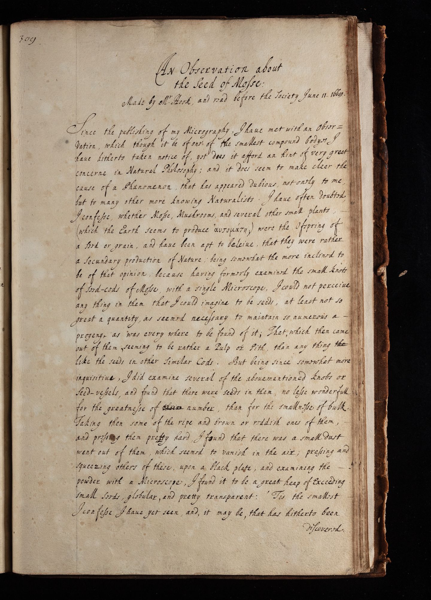 'An observation about the Seed of Mosse' made by Robert Hooke | The ...