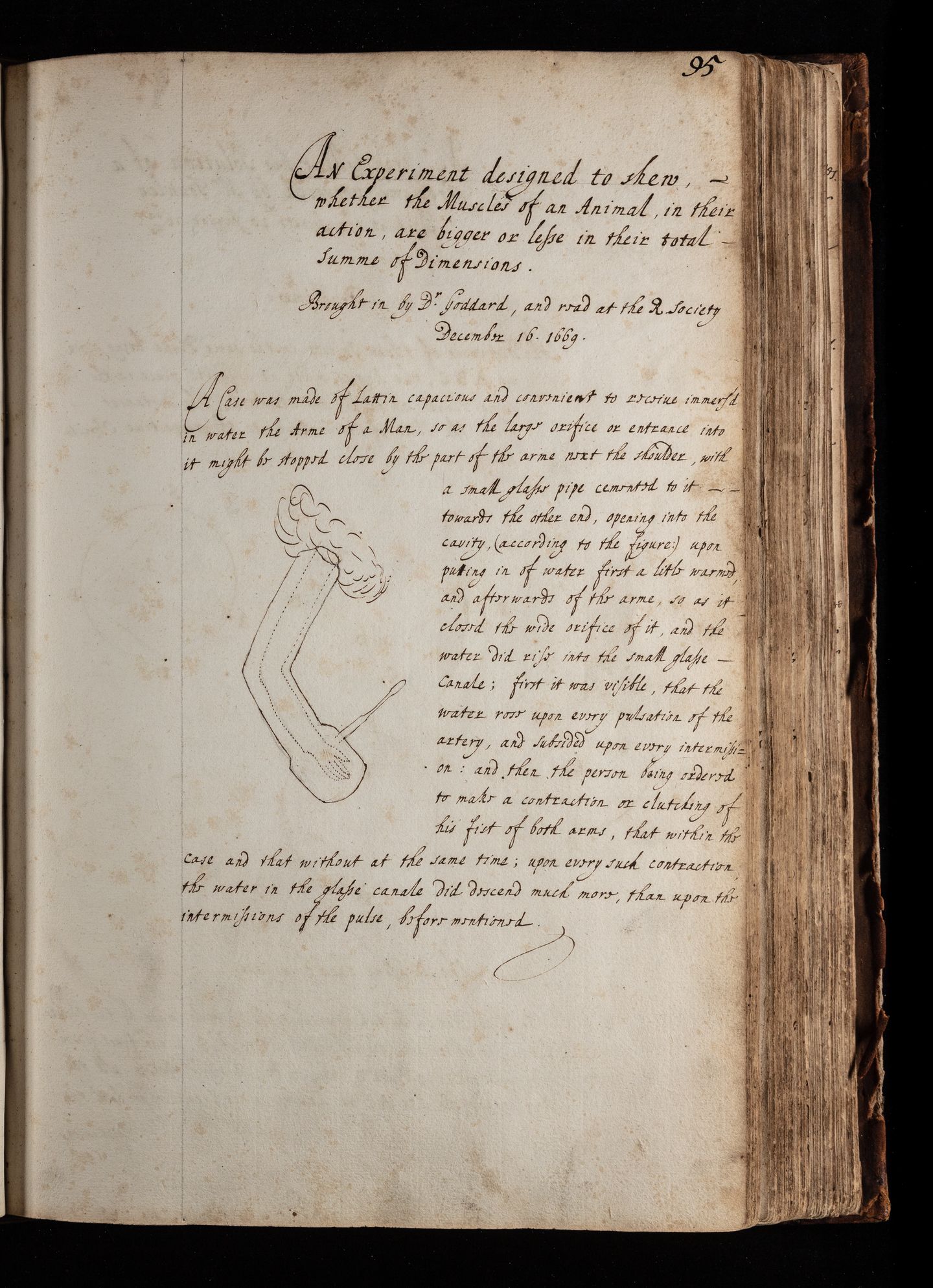 'An Experiment designed to shew whether the Muscles of an Animal in ...