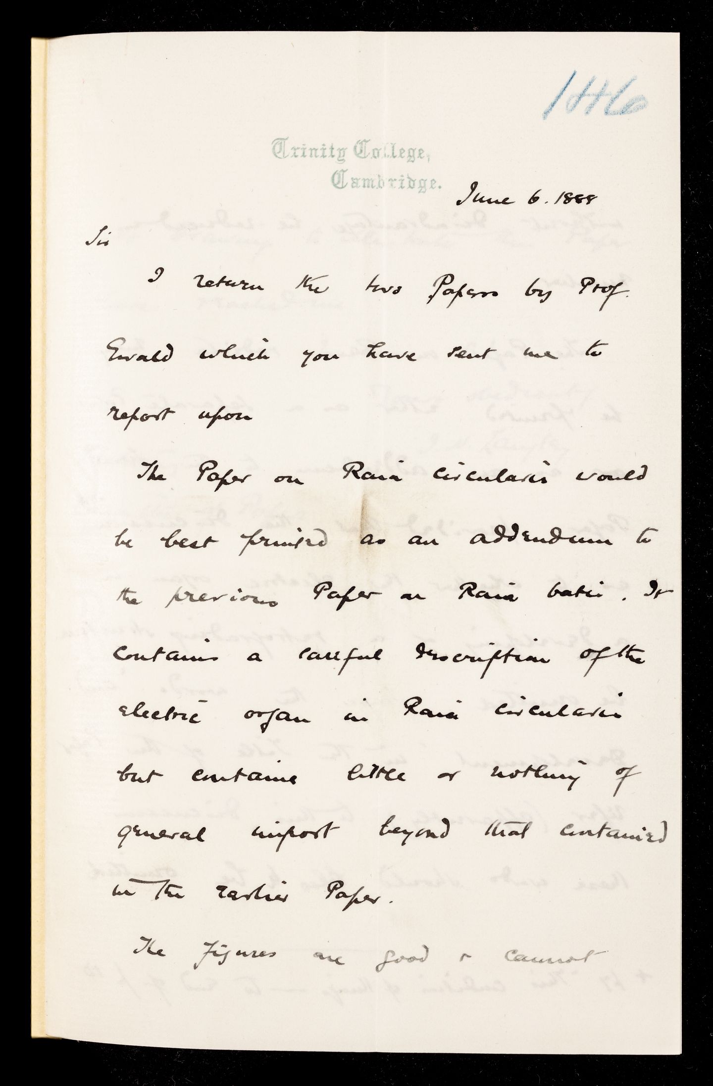 Referee's report by John Newport Langley, on two papers 'The electric ...