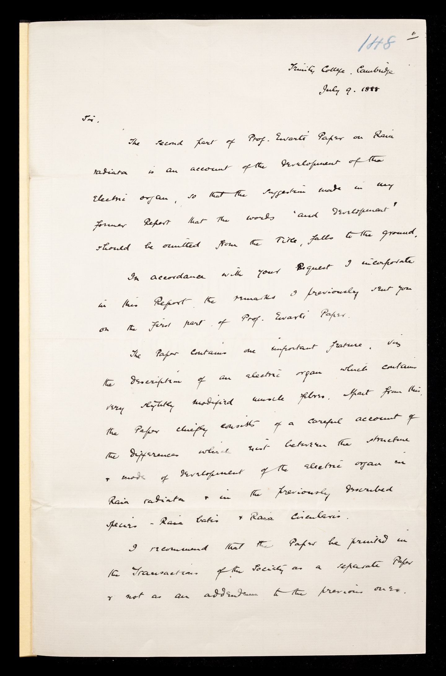 Referee's report by John Newport Langley, on a paper 'The electric ...