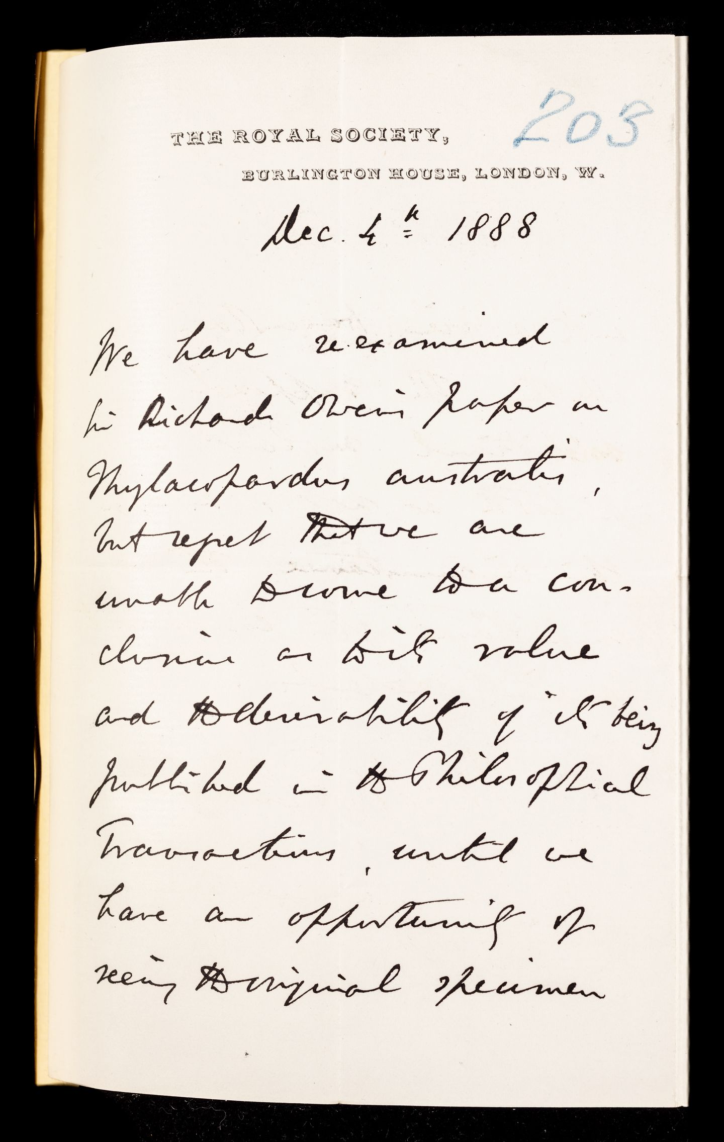 Referee's report by William Henry Flower and Edwin Ray Lankester, on a ...