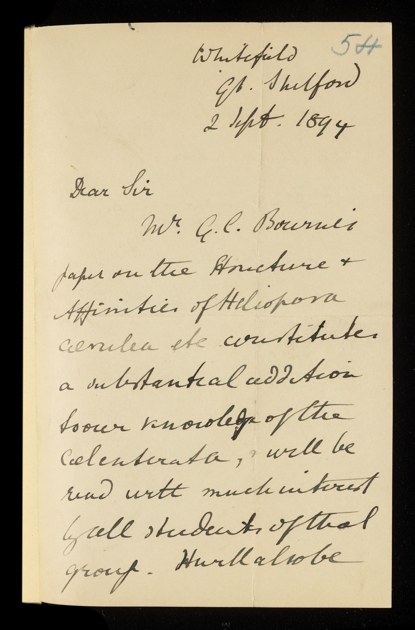 Referee's report by Adam Sedgwick, on a paper 'On the structure and ...