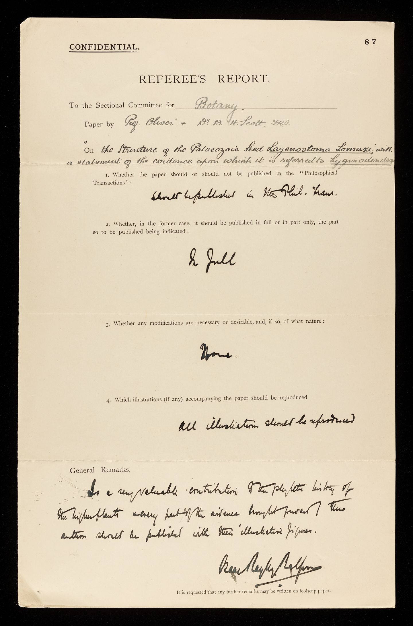 Referee's report by Isaac Bayley Balfour, on a paper 'The structure of ...