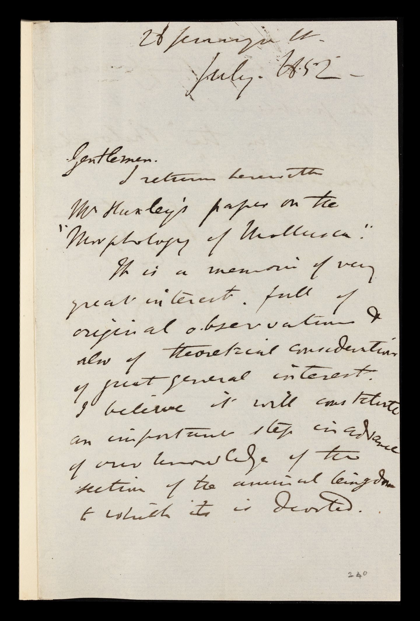 Referee's report by Edward Forbes, on a paper 'On the morphology of the ...