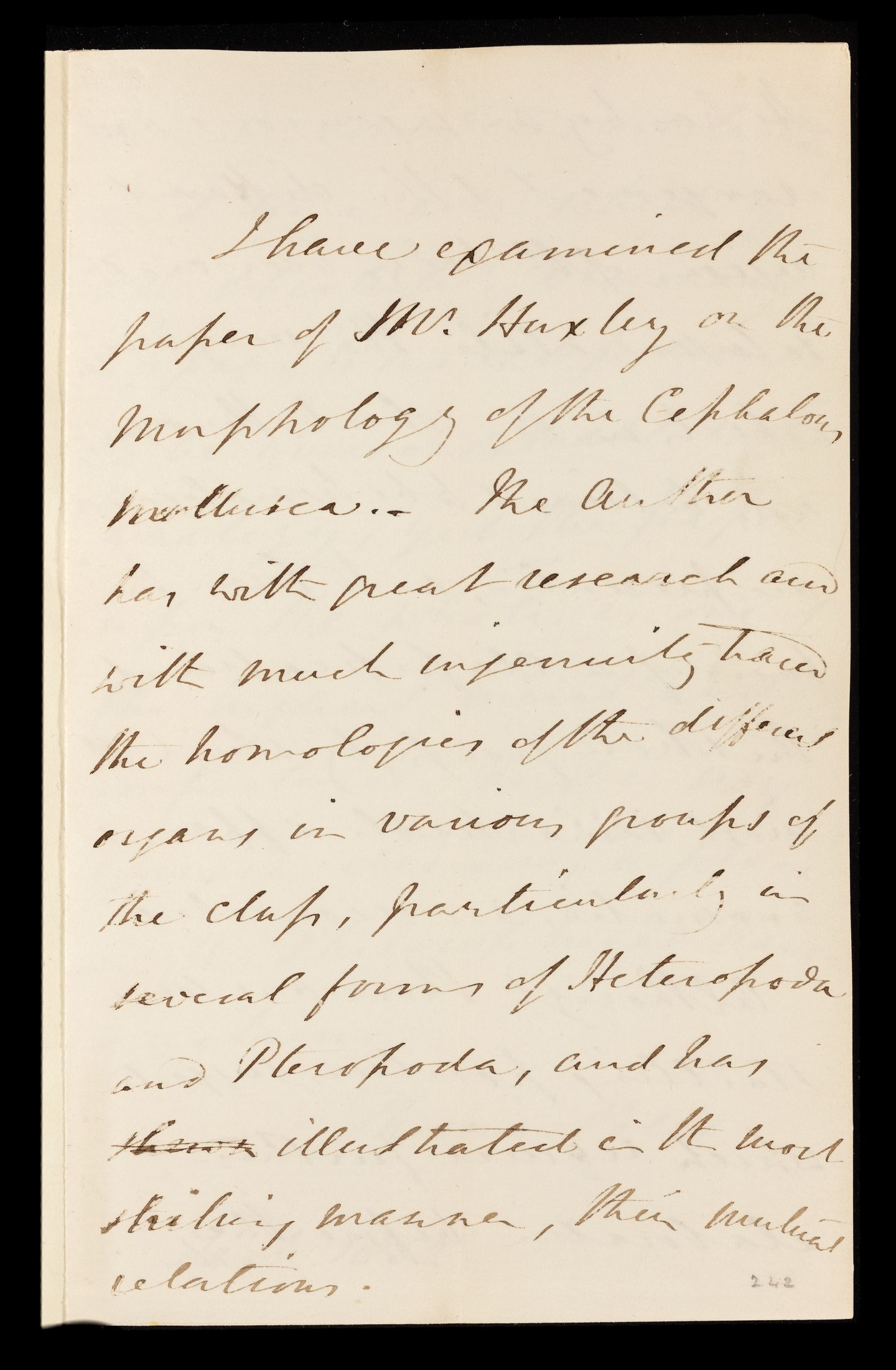 Referee's report by Thomas Bell, on a paper 'On the morphology of the ...