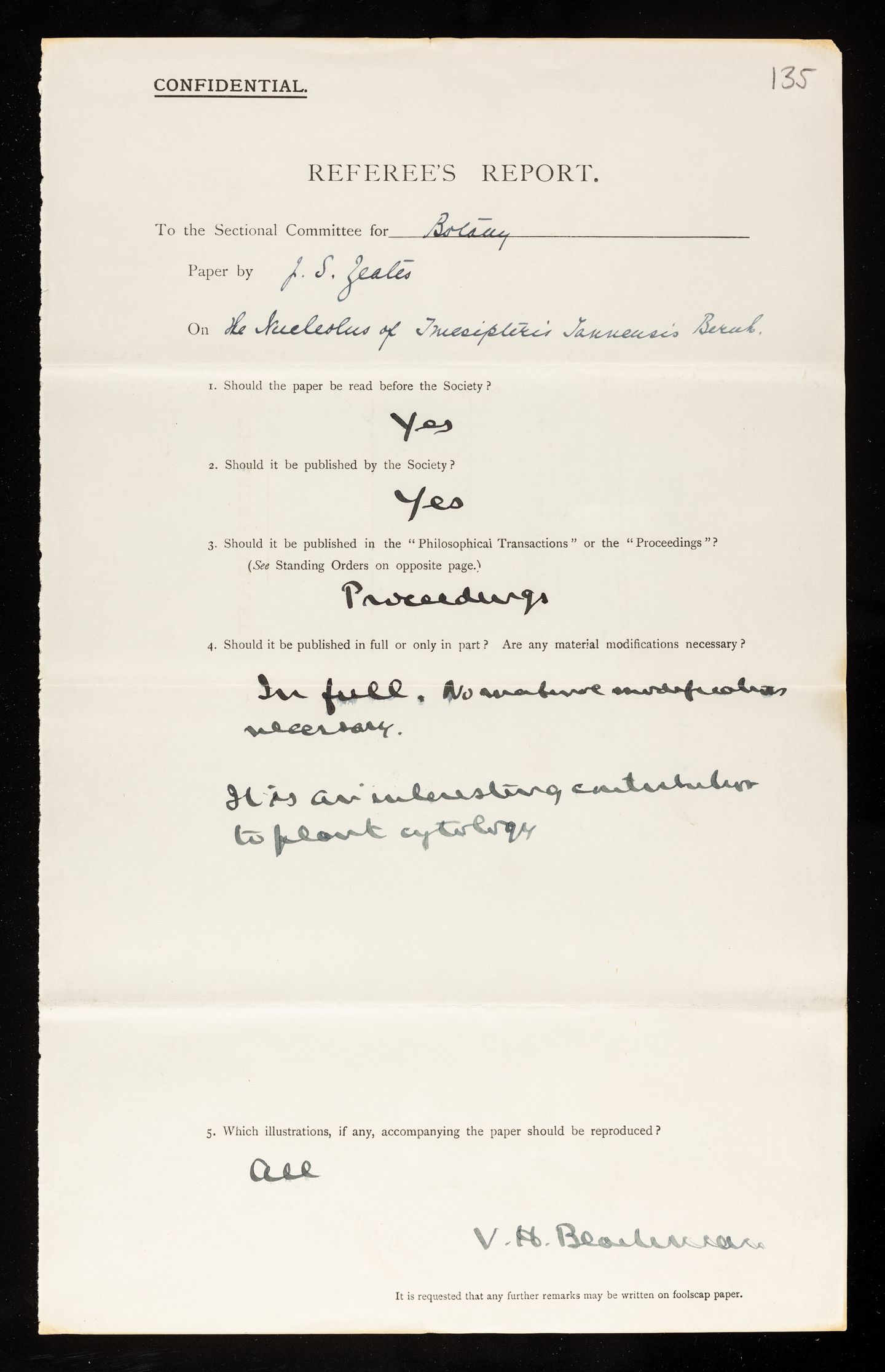 Referee's report by Vernon Herbert Blackman, on a paper 'The nucleolus of tmesipteris tannensis ...