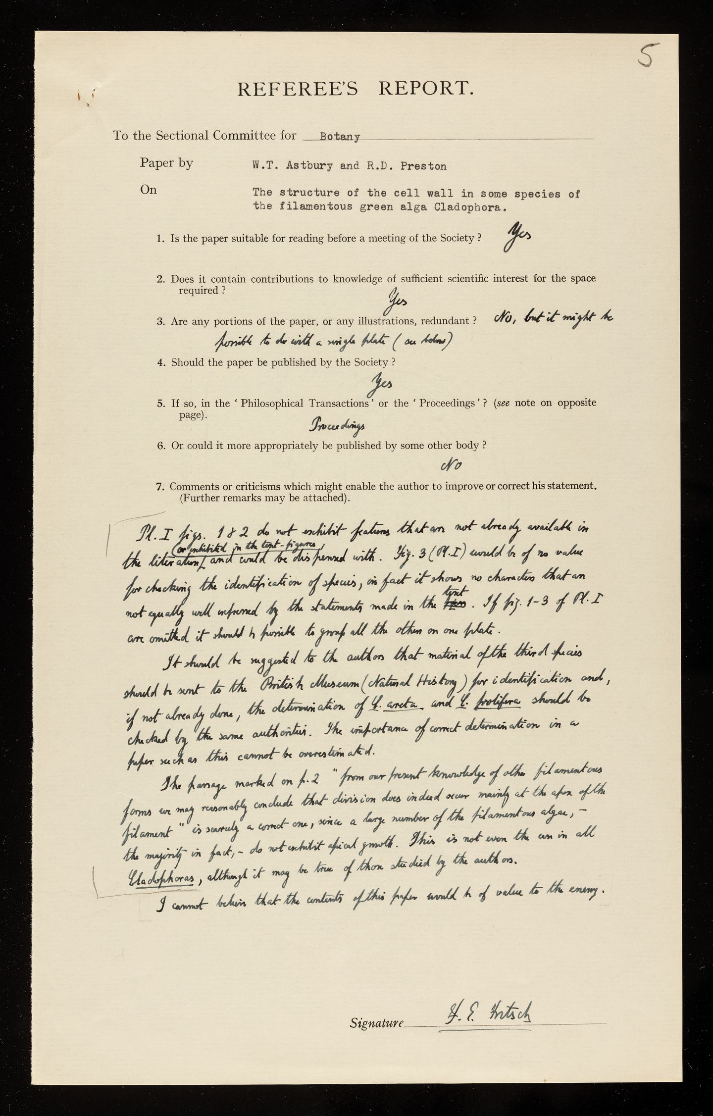 Referee's report by Felix Eugen Fritsch, on a paper 'The structure of ...