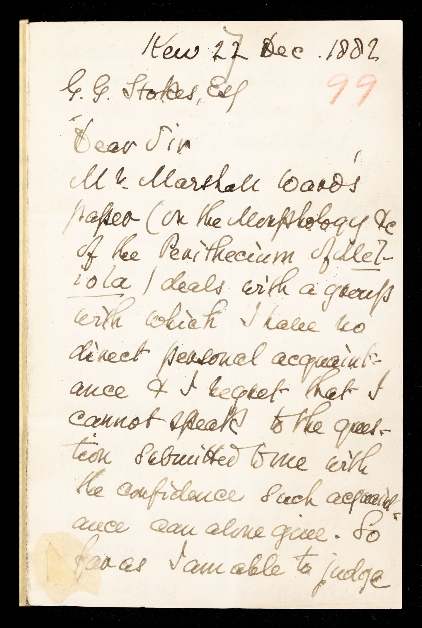 Referee's report by Daniel Oliver, on a paper 'On the morphology and ...