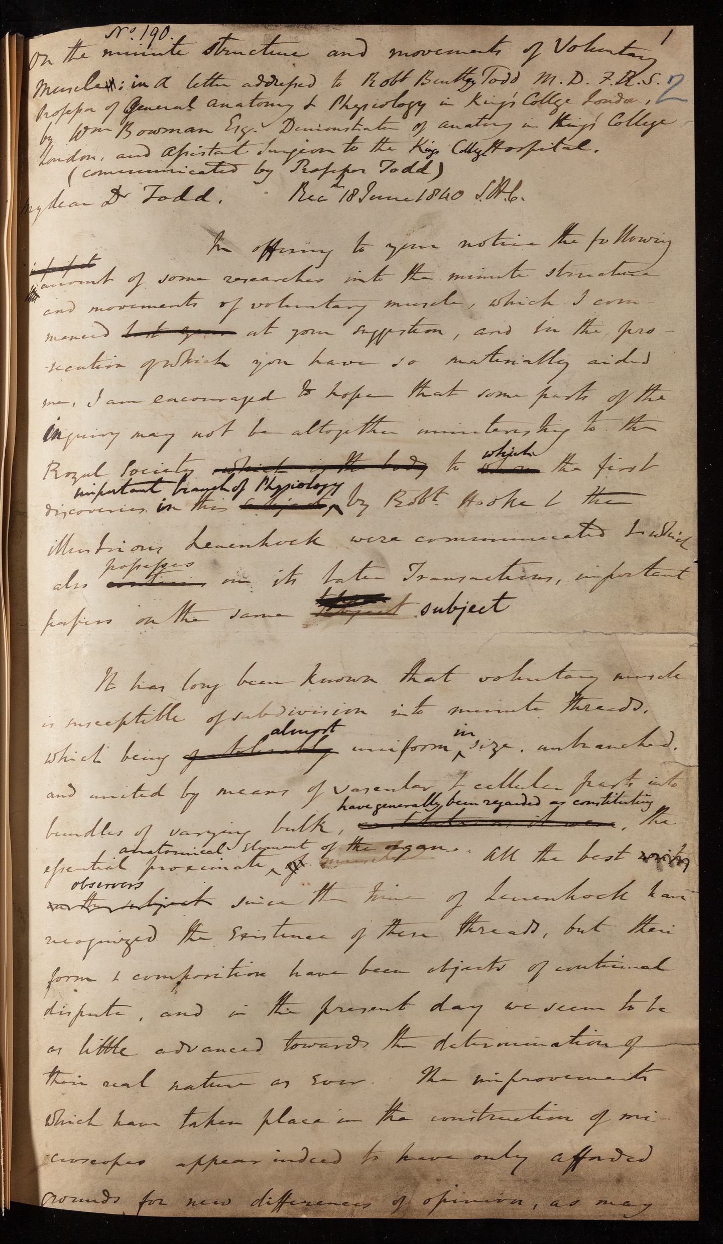 Paper, 'On the minute structure and movements of voluntary muscle' in a ...