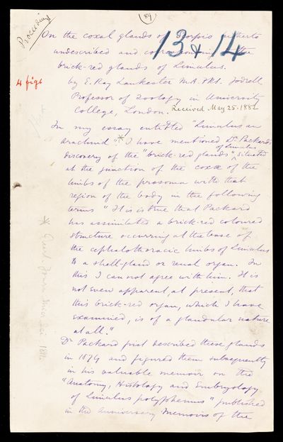 Paper, 'Note on the differences in the position of the ganglia of the ...