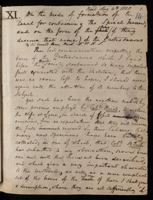 Painting, nasal bones of the proteosaurus [ichthyosaur] by [William ...