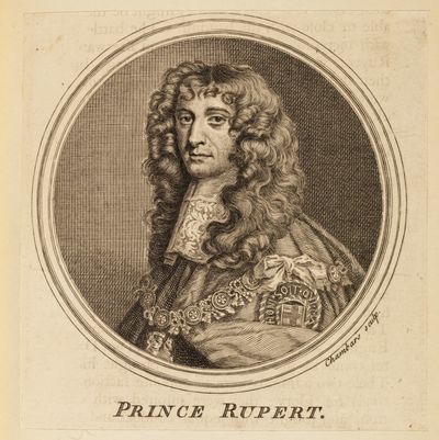 Rupert | The Royal Society: Science in the Making